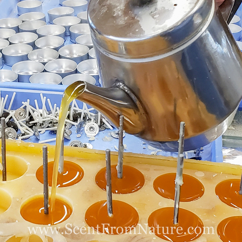 How do Honey Bees make beeswax? | FAQs | - Scent from Nature